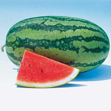 Sweet Beauty Hybrid Watermelon Seeds Mini Sweet Red Watermelons High ...