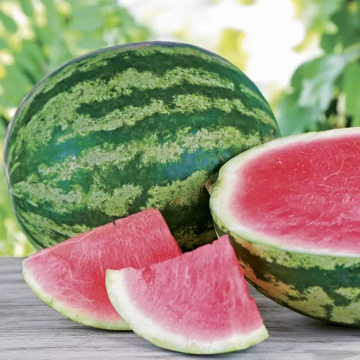 Triple Crown Hybrid Watermelon Seeds Large Extra-Sweet Red Watermelons ...