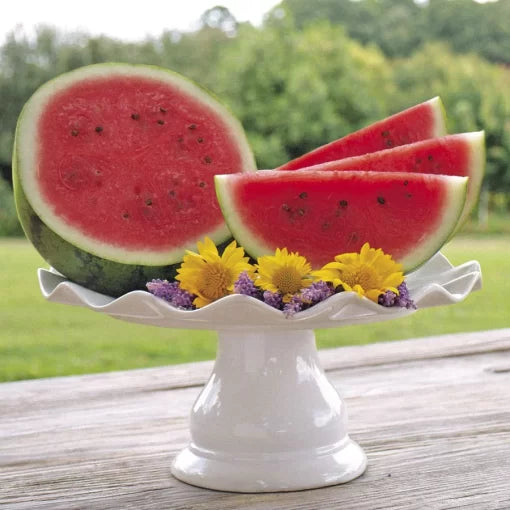Jenny Hybrid Watermelon Seeds Small Round Early Sweet Watermelons High ...