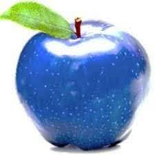 Blue Apple Fruit Seeds for Planting - Vibrant Blue Apples for a Unique ...