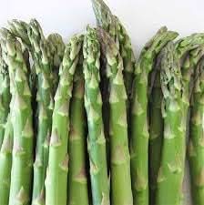 Asparagus Martha Seeds – Spring Heirloom Spears Crop – Dharaseeds