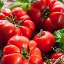Big Red Tomato Seeds for Urban Garden – Shop Now – Dharaseeds