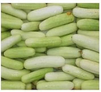 Light Green Cucumber Seeds for Planting - Fresh Vegetable - heirloom ...