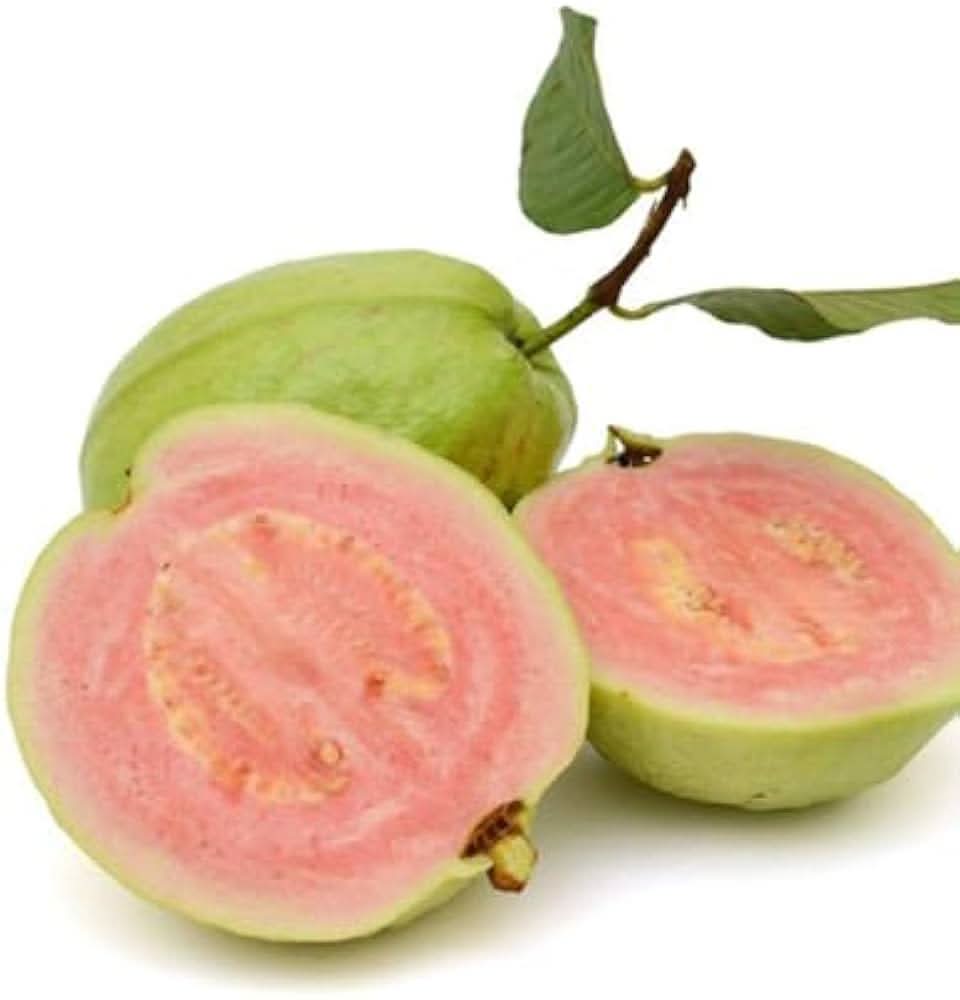 Guava Fruit Seeds for Planting - Tropical Guavas Full of Flavor ...
