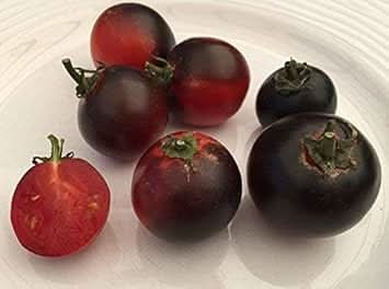 Red Black Midnight Tomato Seeds for Planting heirloom & Non-GMO Seeds ...