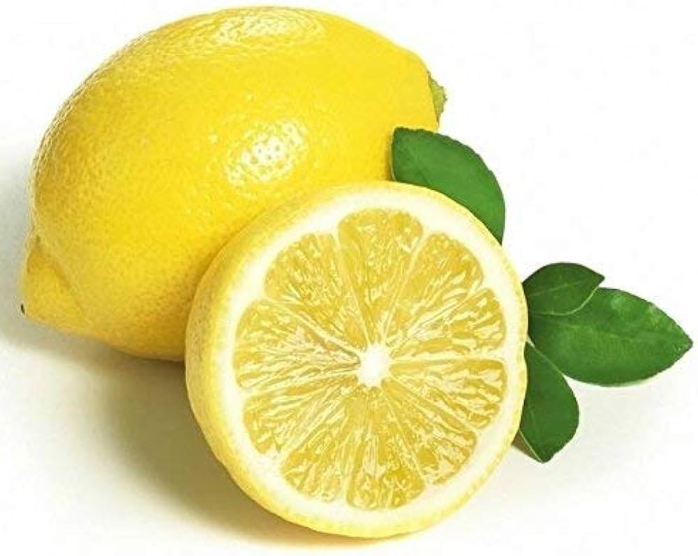 Lemon Fruit Seeds – Citrus limon – Grow Citrus Now – Dharaseeds