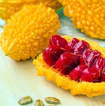 Yellow Bitter Gourd Seeds for Planting, heirloom & Non-GMO Seeds ...