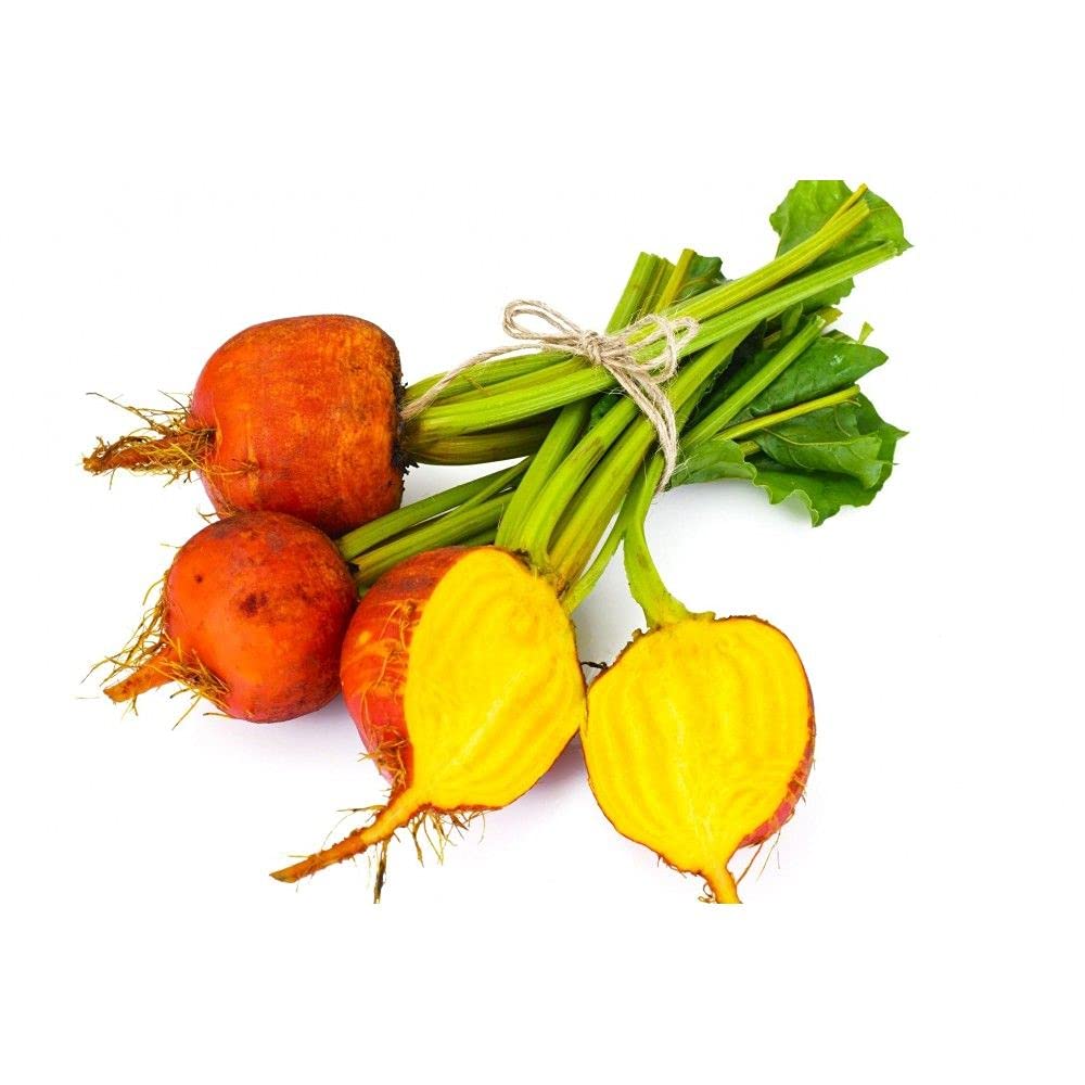 Golden Beet Seeds – Grow Sweet Roots Easily – Dharaseeds
