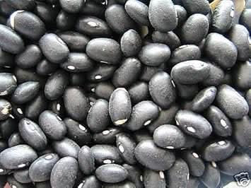 Black Coco Beans – Rich Flavor Heirloom Legume – Dharaseeds