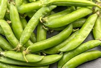 Green Pods Vegetable Seeds for Planting heirloom & Non-GMO Seeds ...