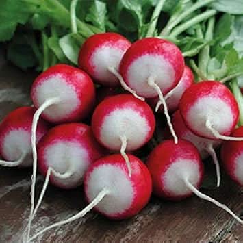 Red White Rainbow Radish Seeds for Home Garden – Buy Now – Dharaseeds