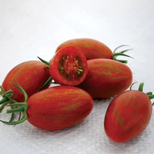 Bronze Torch F1 Grape Tomato Seeds Bronze-Red Sweet Grape Tomatoes High ...