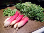 Radish Half Red Of Organic Garden Seeds – Dharaseeds