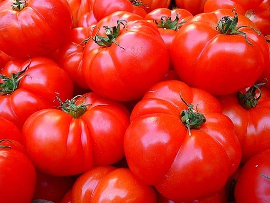 Hamson DX Heirloom Tomato Seeds - Sweet Juicy Homegrown Tomatoes ...