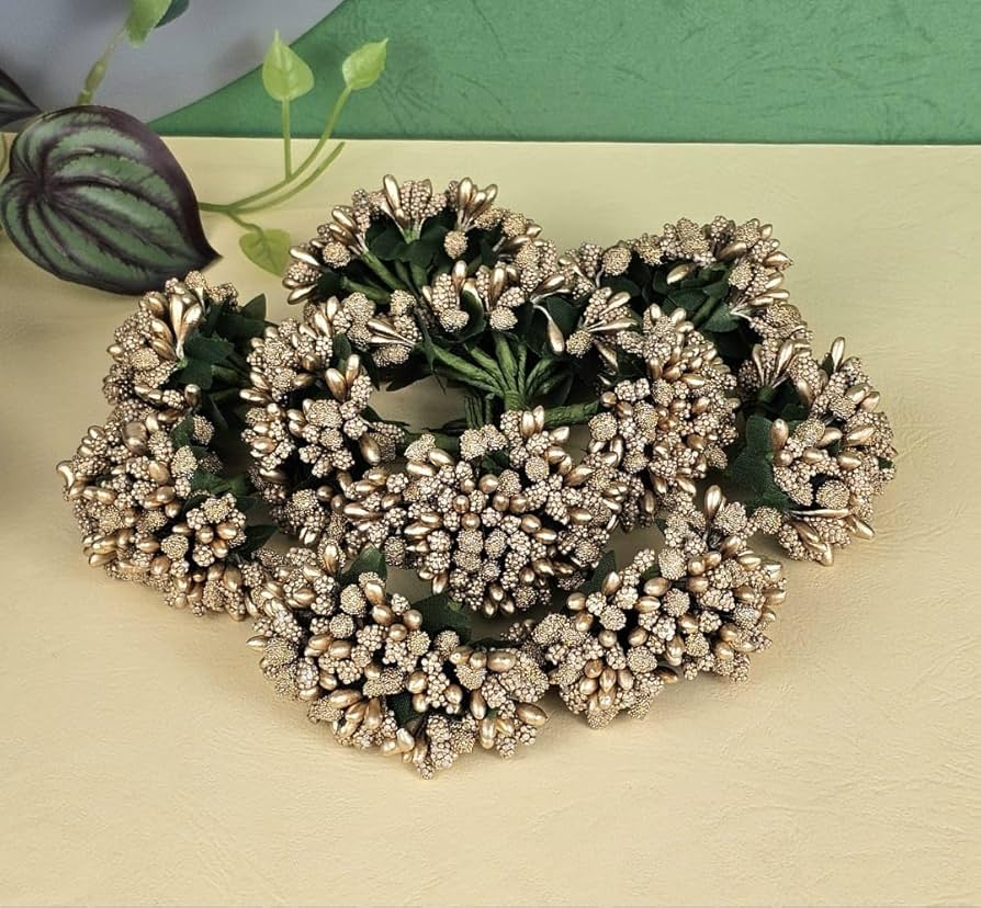 Ostrich Feather Flower Seeds – Soft, Feathery Blooms for Gardens ...