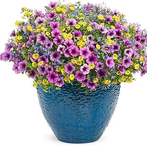 Calibrachoa Petunia Seeds – Calibrachoa spp for Your Flower Bed ...