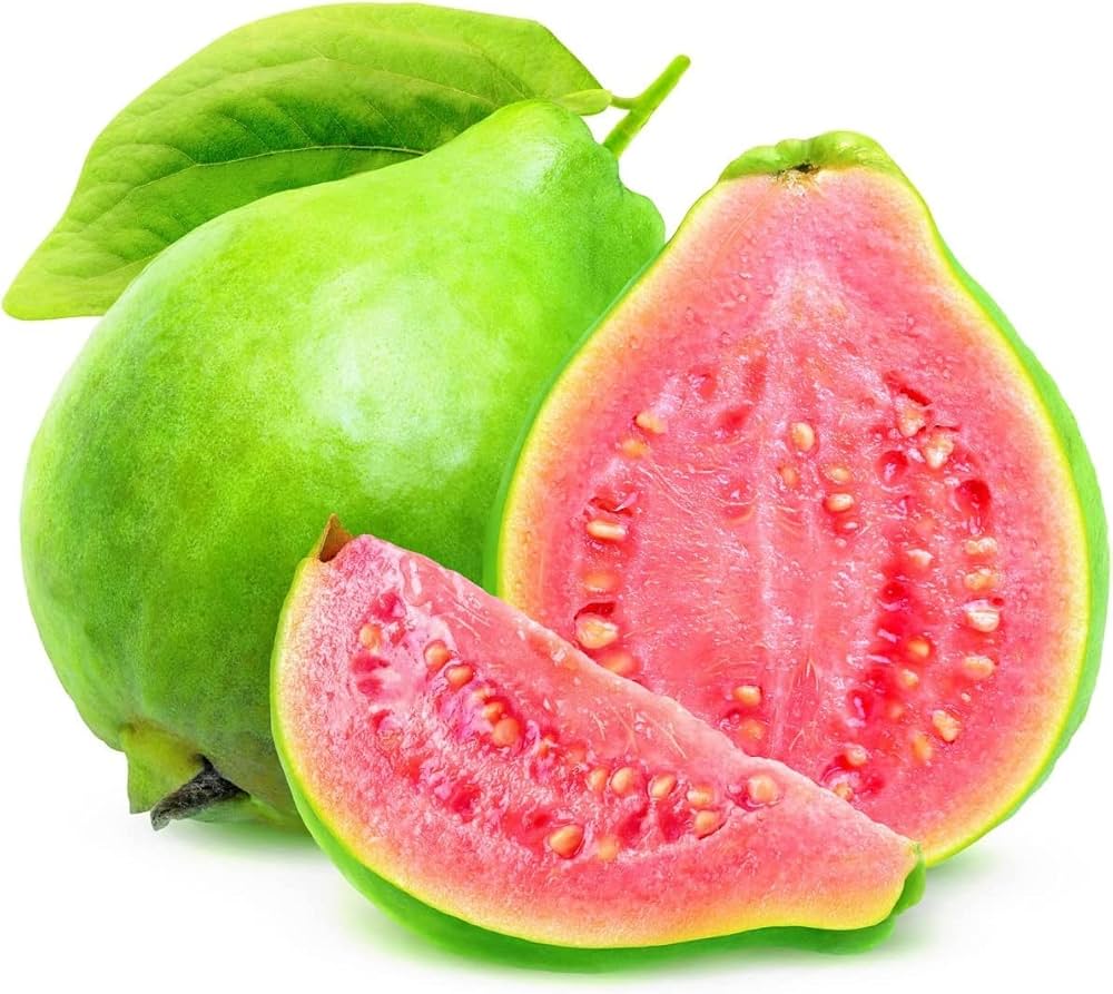 Guava Fruit Mix Seeds - Exotic Tropical Fruit Tree Seeds – Dharaseeds