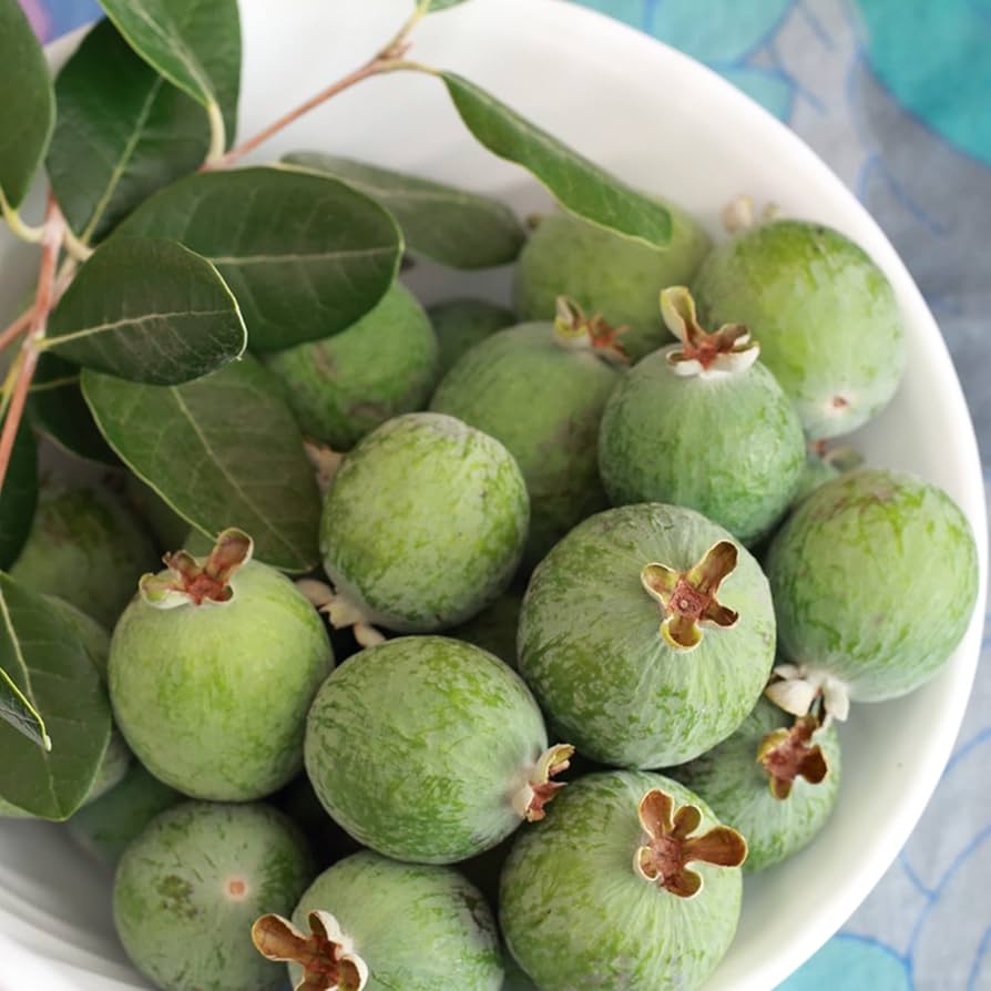 Pineapple Guava Seeds – Sweet and Tangy Fruit for Gardens – Dharaseeds