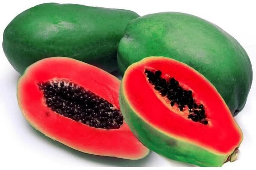 Red Caribbean Papaya Fruit Seeds for Planting- Sweet, Tropical Red ...