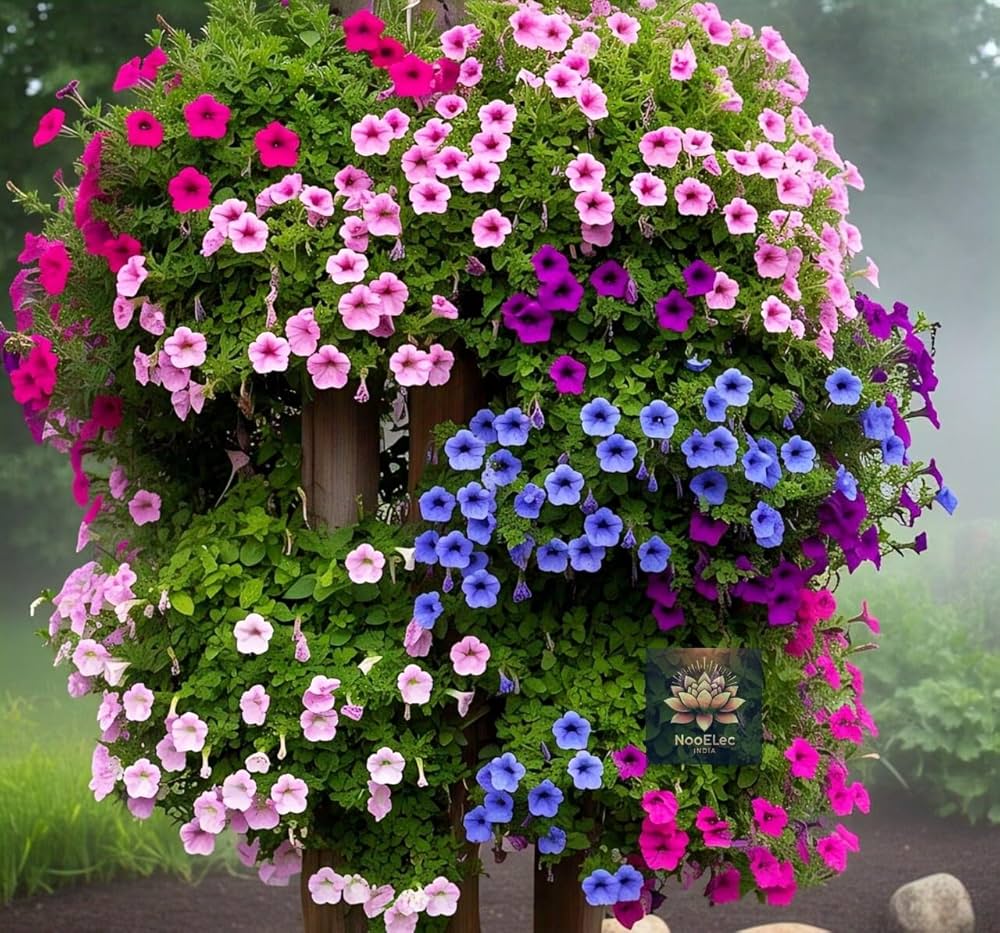 Yellow Petunia Seeds – Hanging Mix for Colorful Displays – Dharaseeds