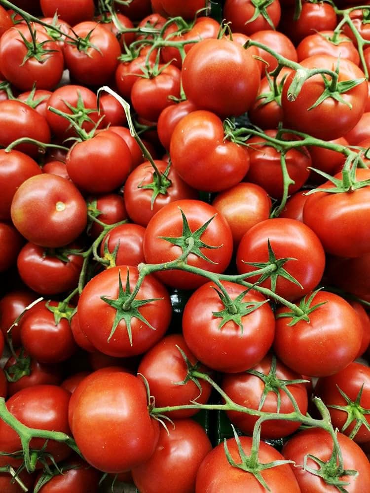 Beefmaster Hybrid Indeterminate Tomato Seeds - Dharaseeds