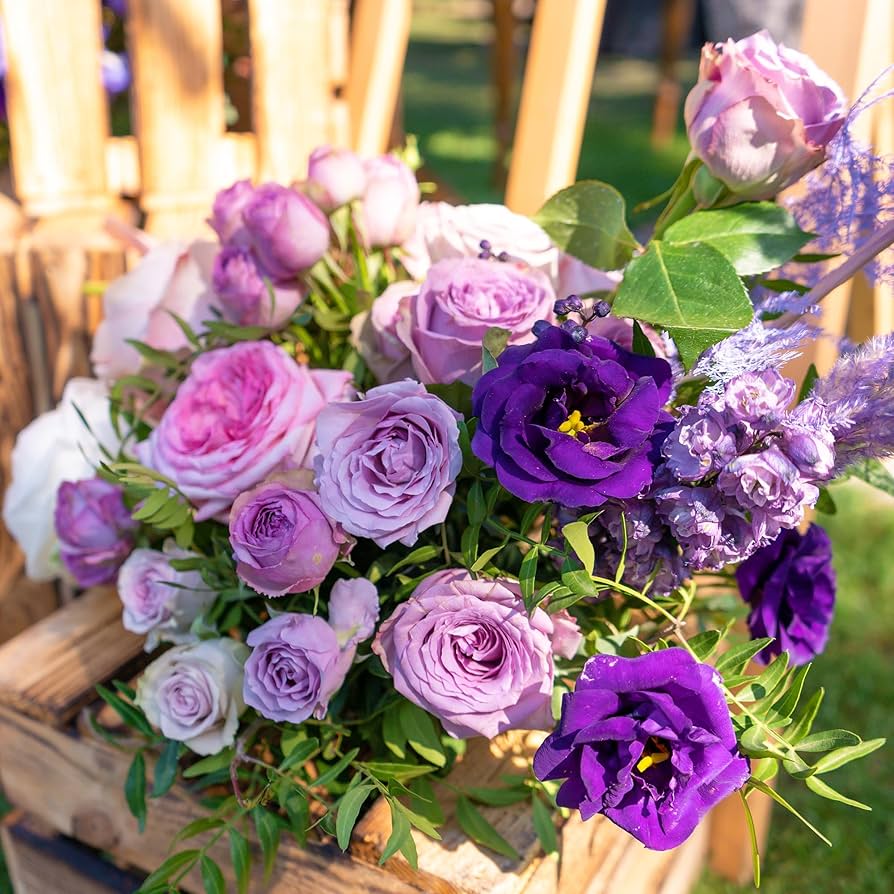 Eustoma Grandiflorum Seeds - Sapphire Mix Lisianthus for Garden Beds ...