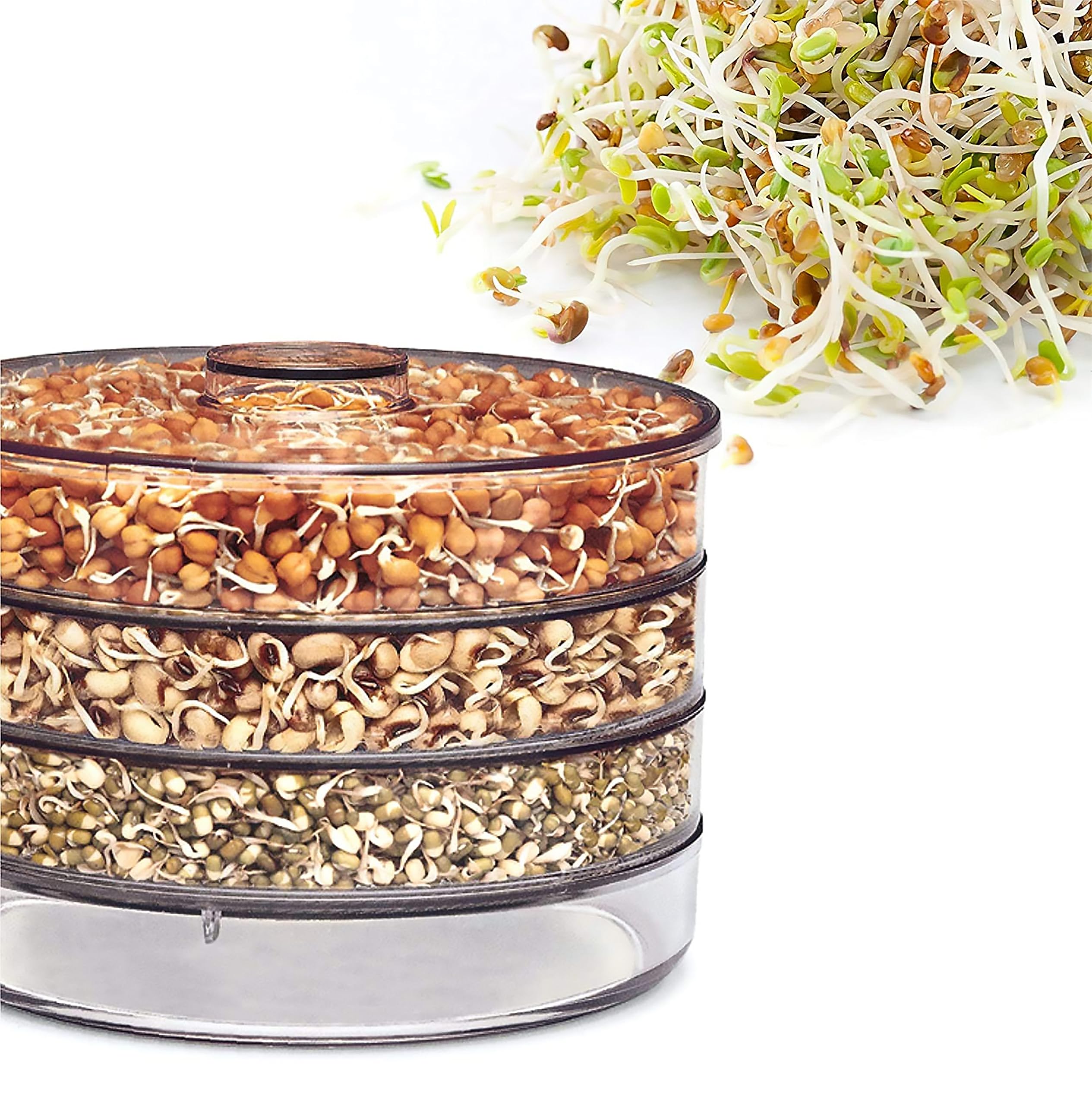Easy Sprout Container for Seed Sprouting – Heirloom, Non-GMO – Dharaseeds