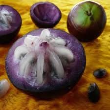 Purple Star Apple Fruit Seeds for Planting - Tropical Fruit Seeds for ...