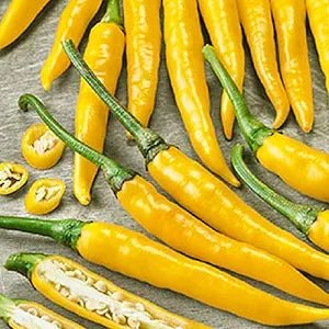 Golden Cayenne Pepper Capsicum annuum vegetable seeds for planting in ...