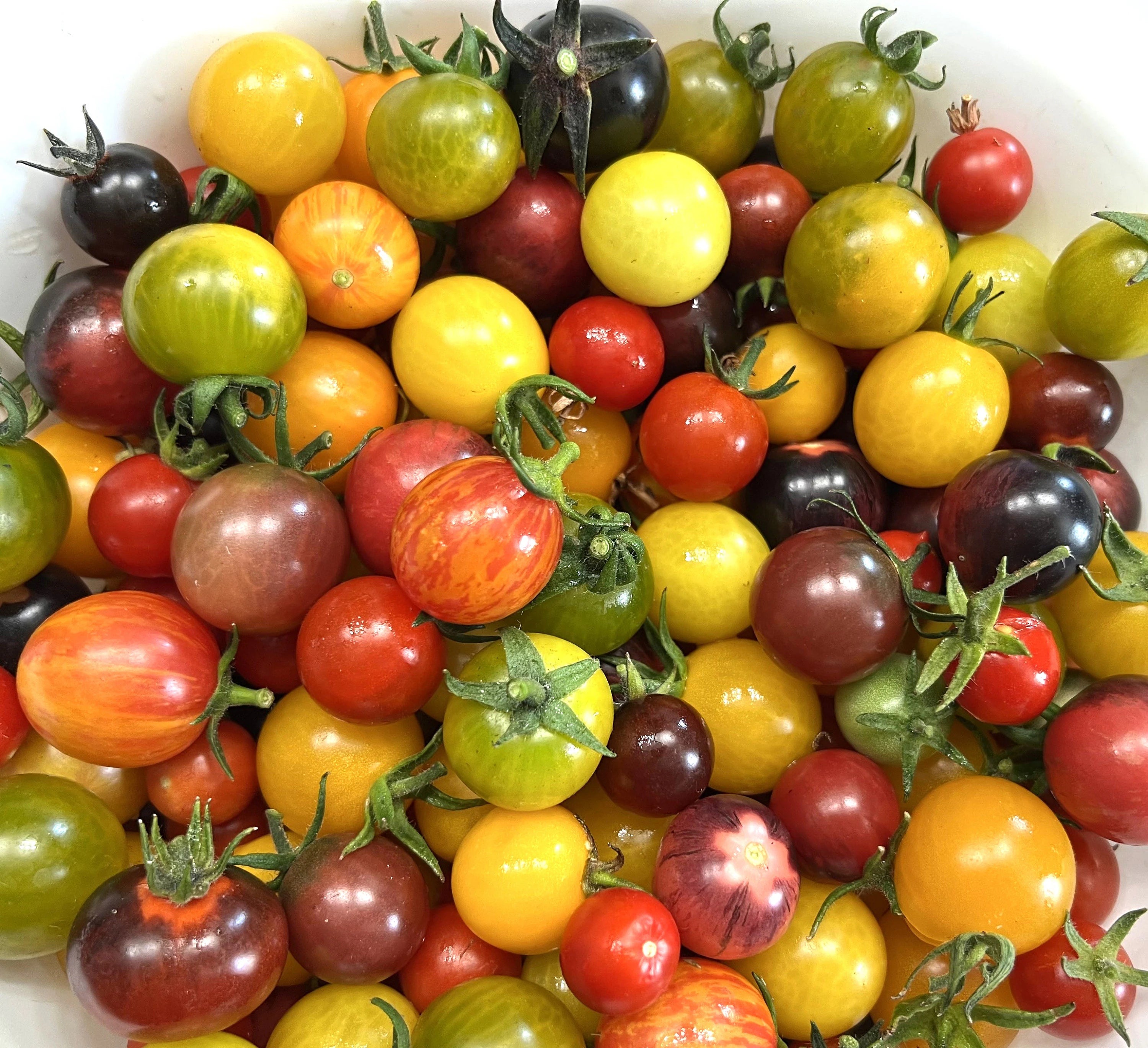 Red Velvet Cherry Tomato Seeds High Germination Garden Seeds – Heirloom ...