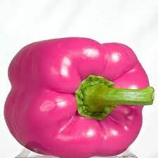 Pink Pepper Vegetable Seeds for Planting heirloom & Non-GMO Seeds ...