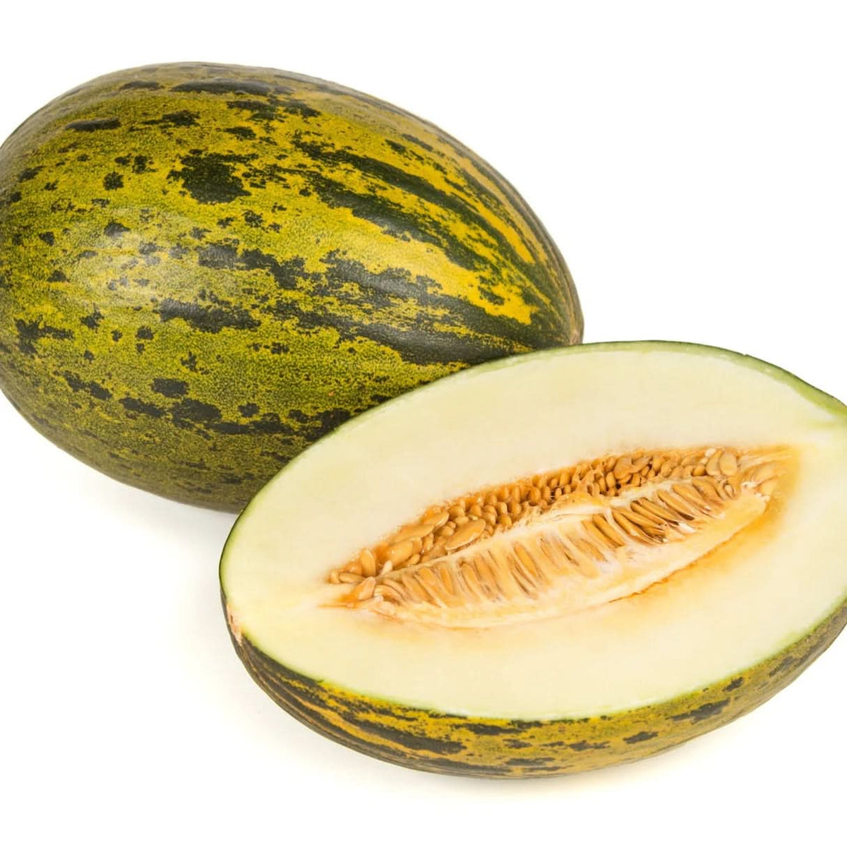 Melon Seeds - Piel De Sapo Heirloom Non-GMO Variety – Dharaseeds
