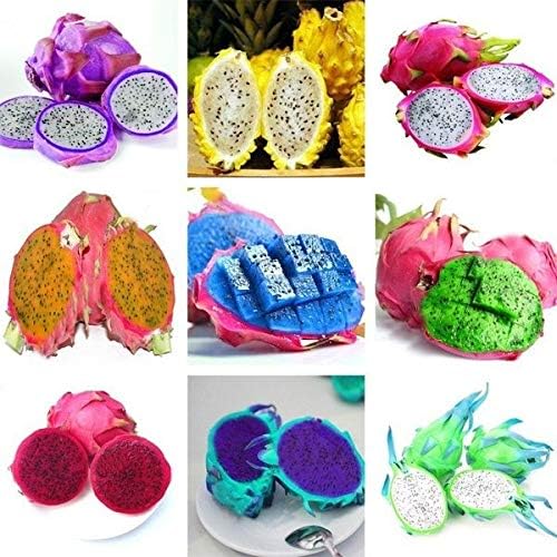 Pitaya Fruit Seeds – Mixed Variety – Dharaseeds