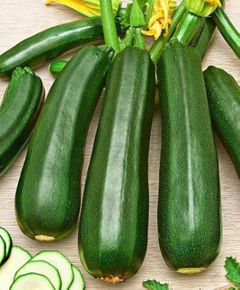 Raven Squash Seeds – Glossy Dark Green Zucchini with Early Maturity ...