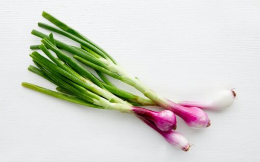 Spring Onion Red Organic Garden Seeds – Dharaseeds