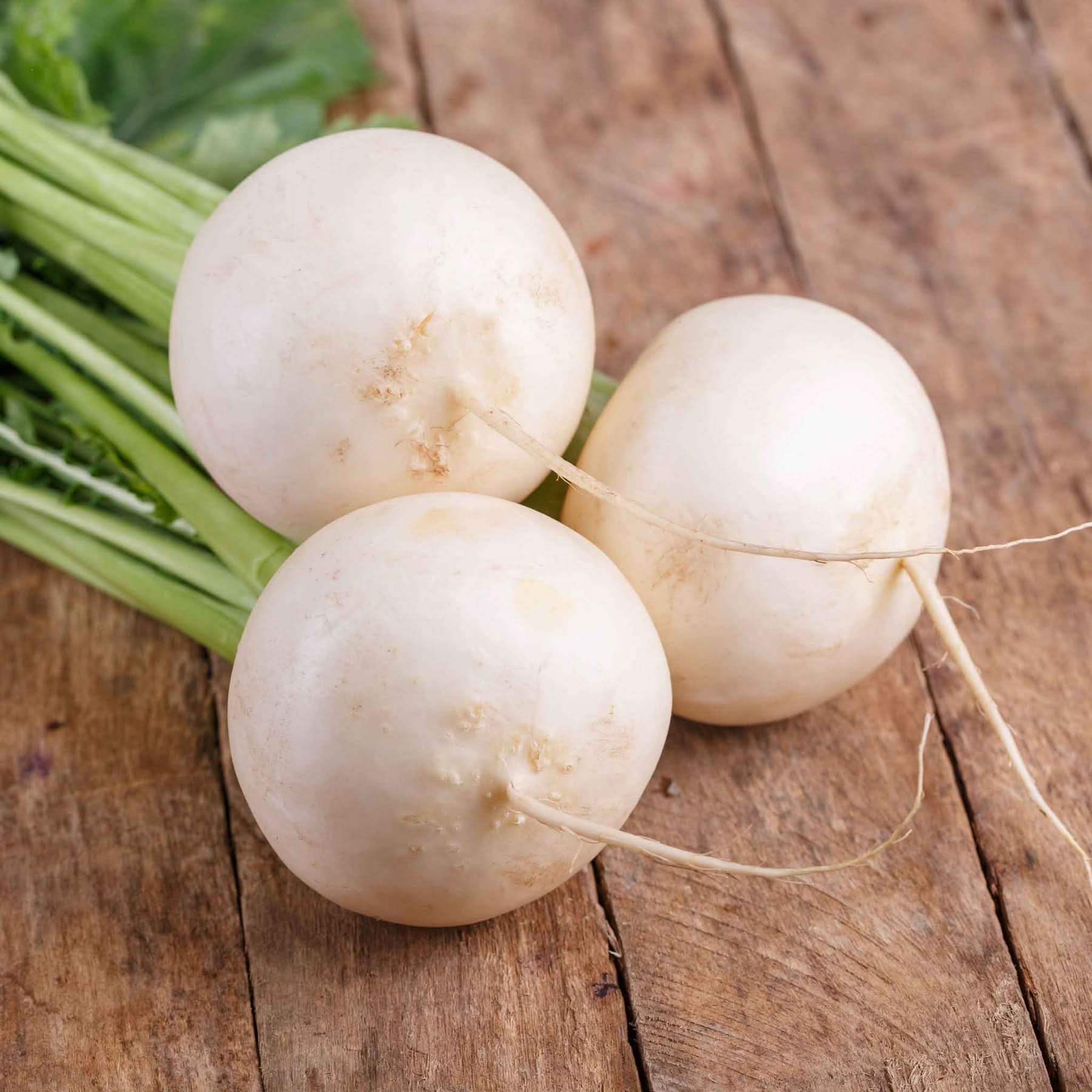 Turnip Shogoin Seeds – Heirloom Sweet Round Crop – Dharaseeds