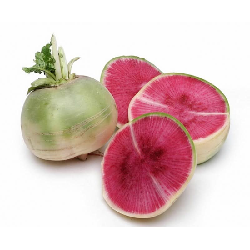 Watermelon Radish Fruit Seeds for Planting – Green, Crisp, and ...